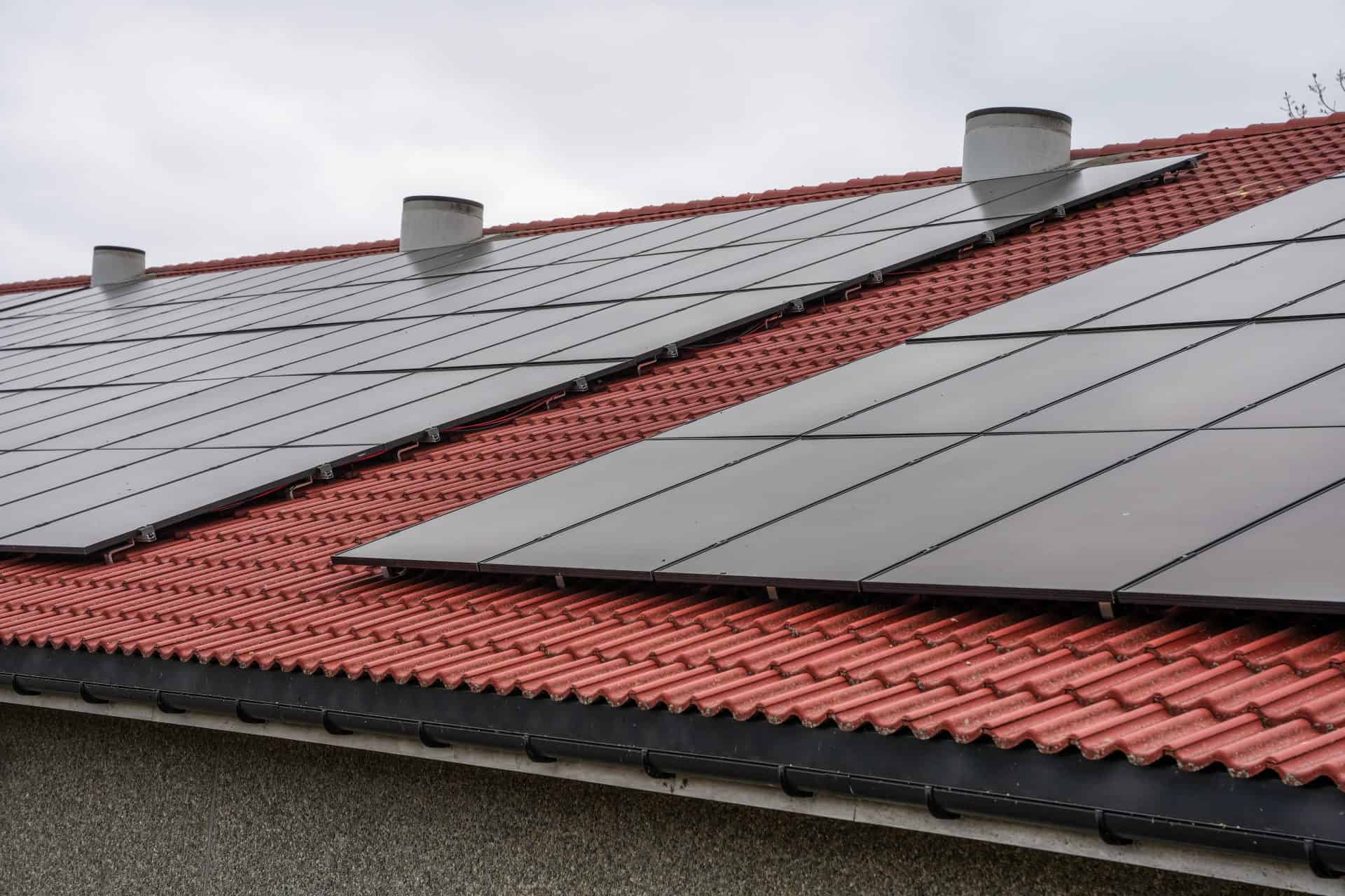 Grisehus på Vigrestad - Vigrestad Bygg